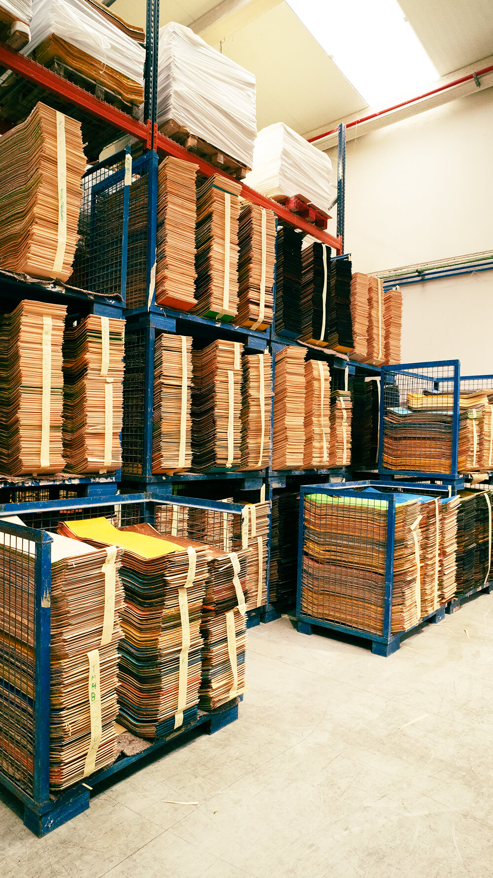 HLC SB Distribution Company - Skateboarding manufacture